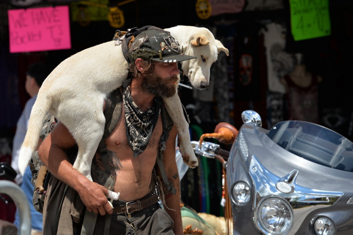 Sturgis Rally and visit of Mount Rushmore and Devils Tower 2019-08